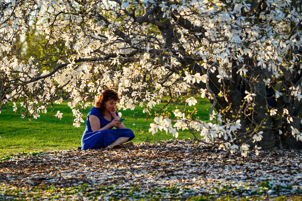73 Fun, UW–Madison Outdoor Well-being Activities – Inside FP&M – UW–Madison